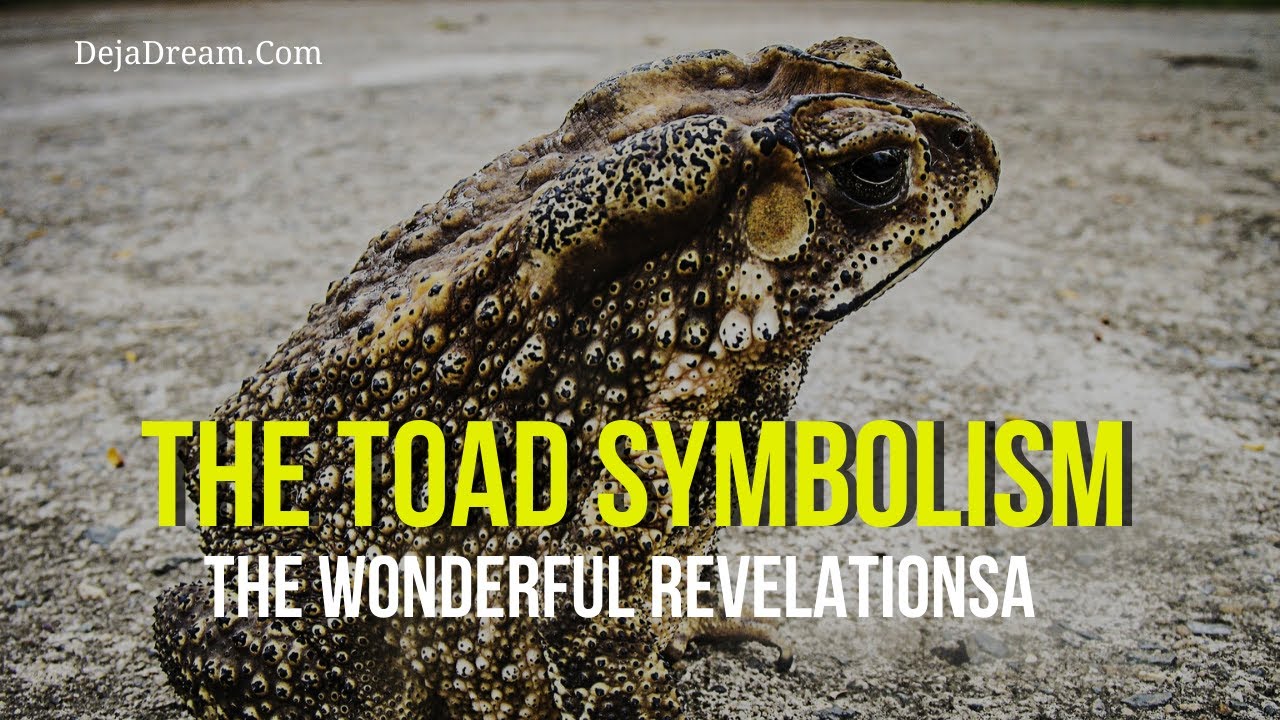 The Toad Symbolism: The Wonderful Revelations - YouTube