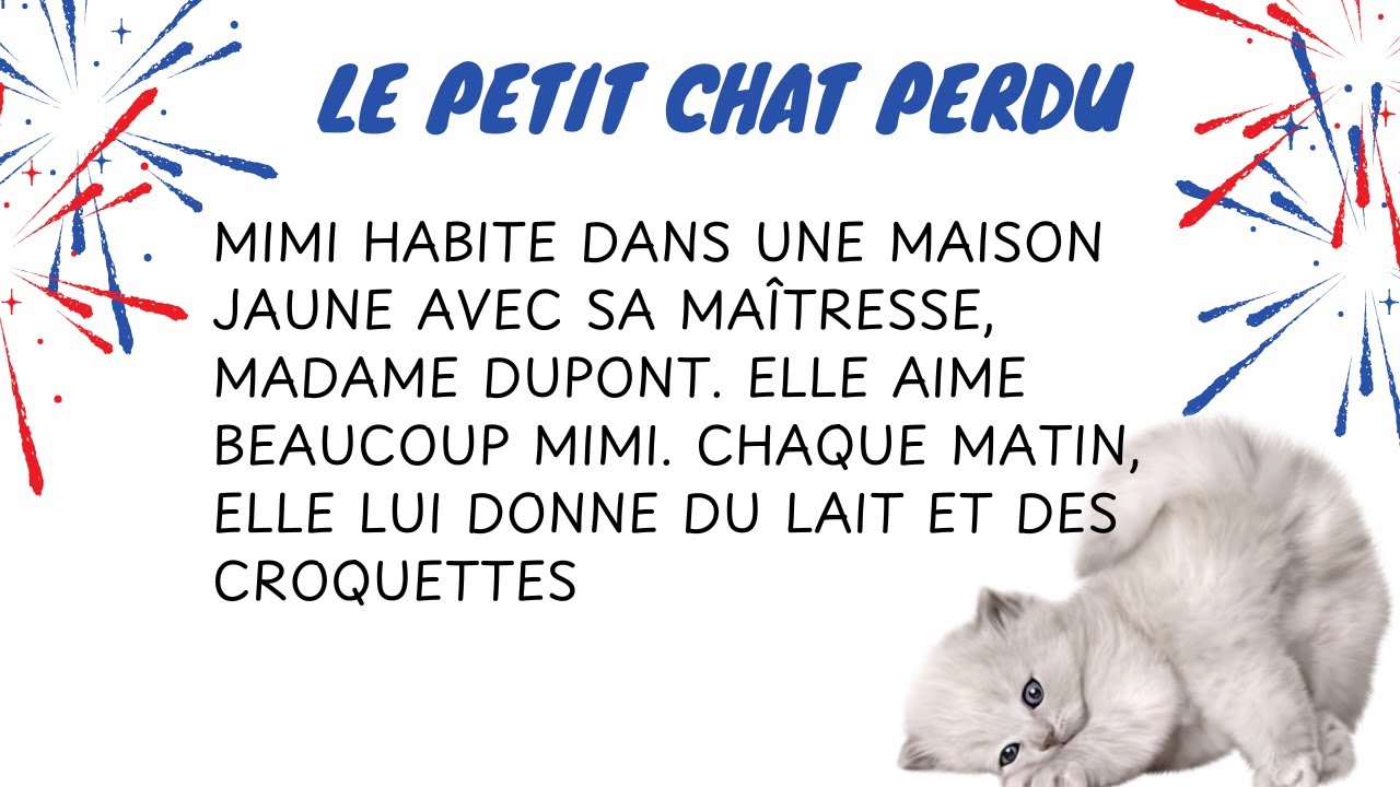 Le Petit Chat Perdu Beginner French | Learn French Through Engaging ...