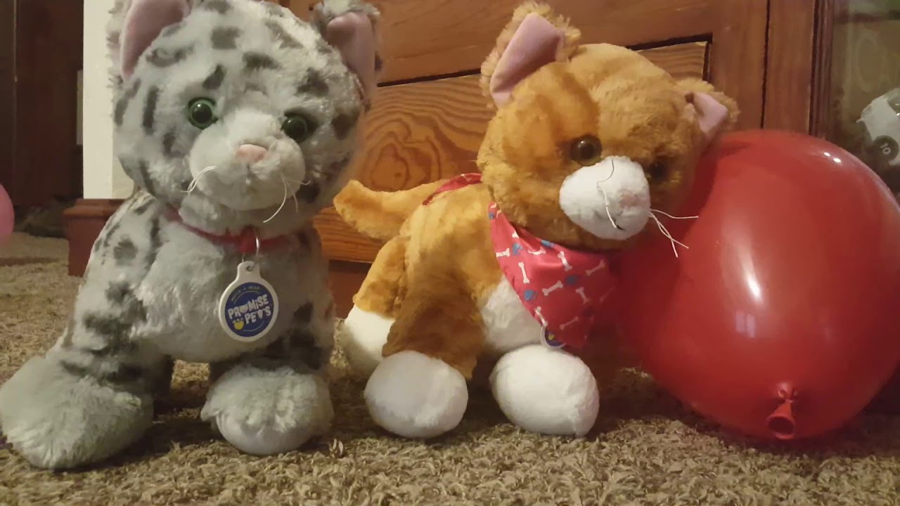 Promise Pets season 5 episode 8 Valentine's Day Dance - YouTube