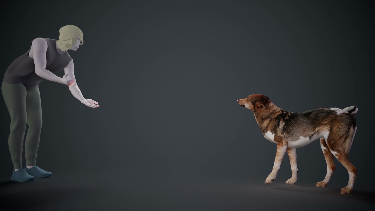 Dog keyframe animation. Вежливая собака рада встрече. - YouTube