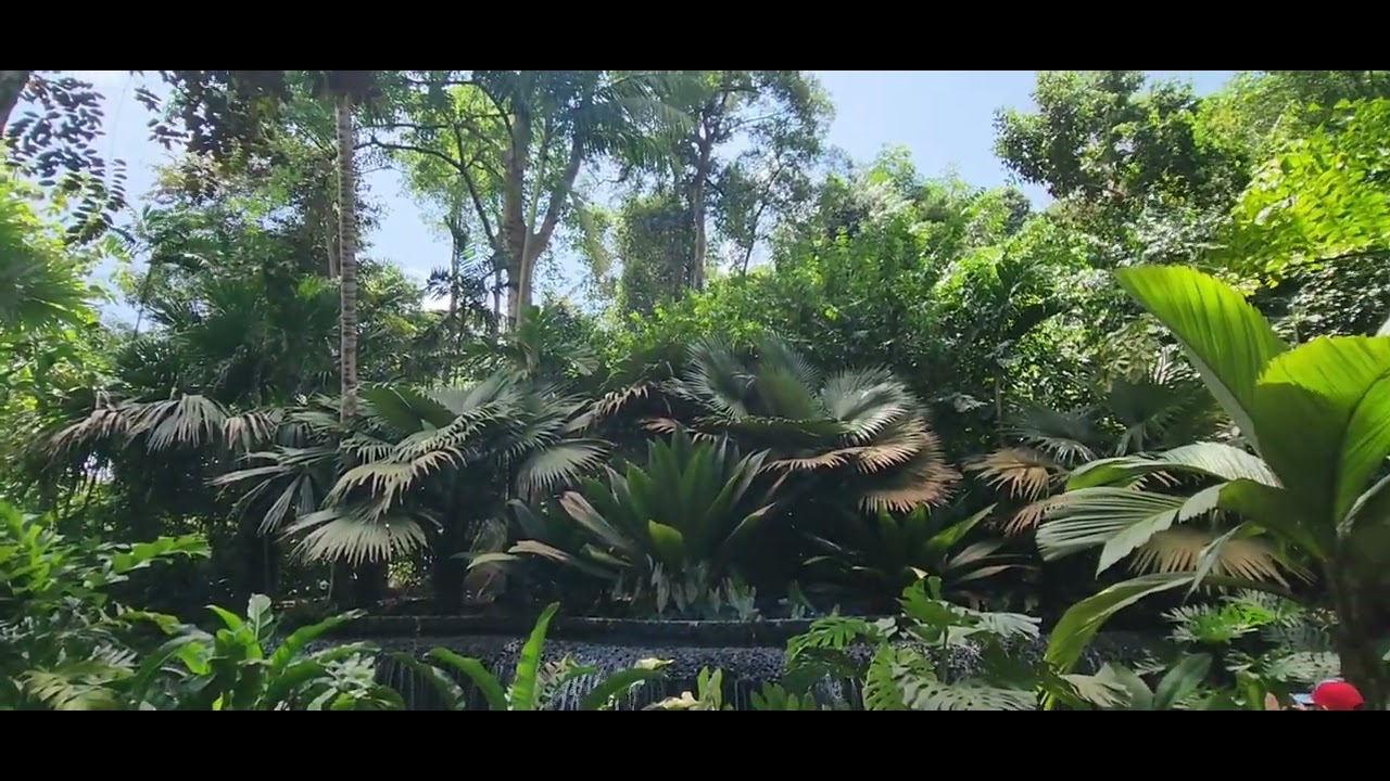 Natural Scenery (Establishing shot) - YouTube