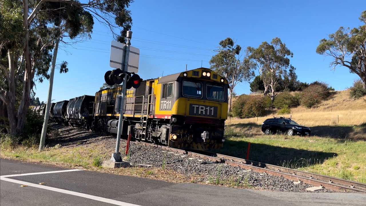 TasRail TR11 #55 HF Coal Container train crossing Opossum Road - YouTube