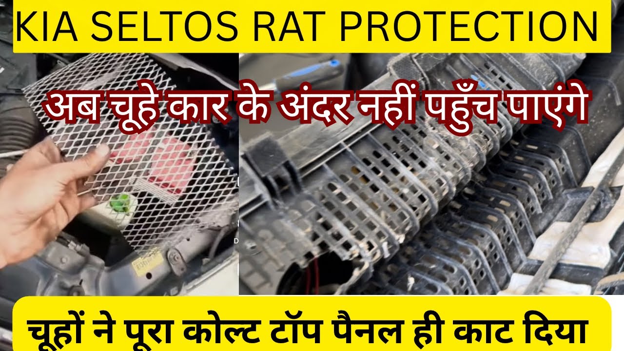 Rat Protection 100% Kia Seltos | Cowl Top Cover Repair and Mesh install ...