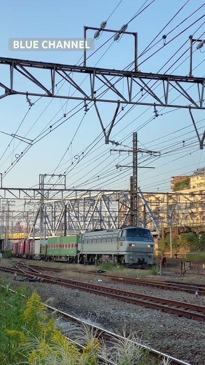 (貨物列車) 2023/11/03 66レ EF66-116 + コキ23B (東福山〜東京タ) #Shorts - YouTube