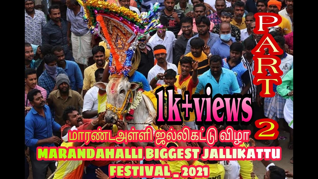 "மாரண்டஅள்ளி ஜல்லிகட்டு விழா - PART -2-MARANDAHALLI BIGGEST JALLIKATTU ...