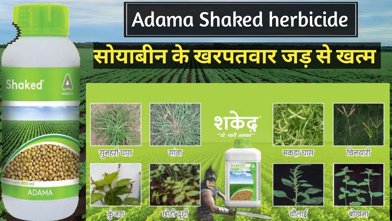 adama Shaked herbicide/ Shaked adama herbicide /Propaquizafop 2.5% ...