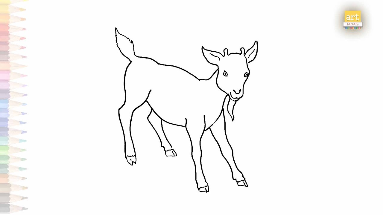 Billy goat drawings | Easy drawing tutorials | How to draw A Billy goat ...