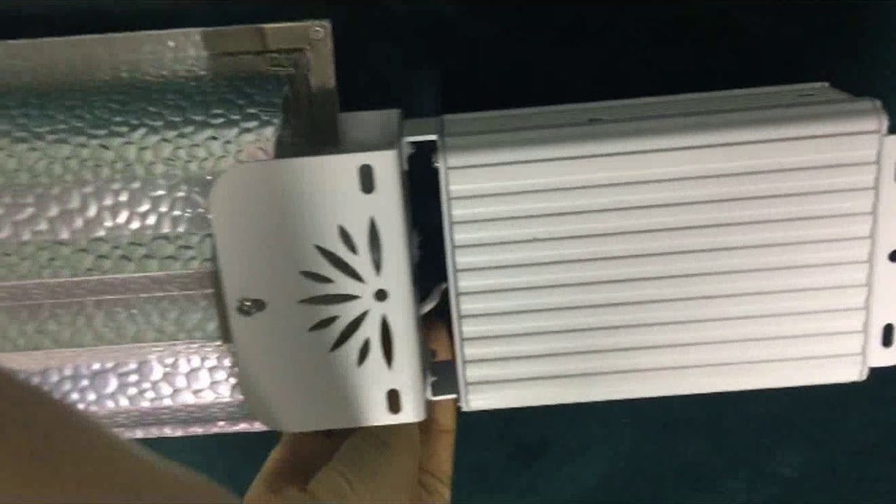 Specialized Light Source for Grow Lights on Regulating Chrysanthemum ...