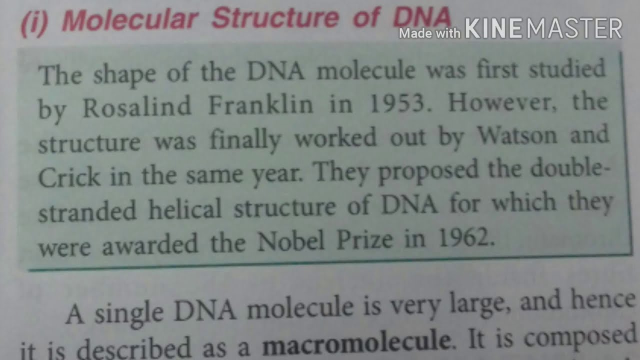 CLASS X BIOLOGY CHAPTER; STRUCTURE OF CHROMOSOME CELL CYCLE CELL ...