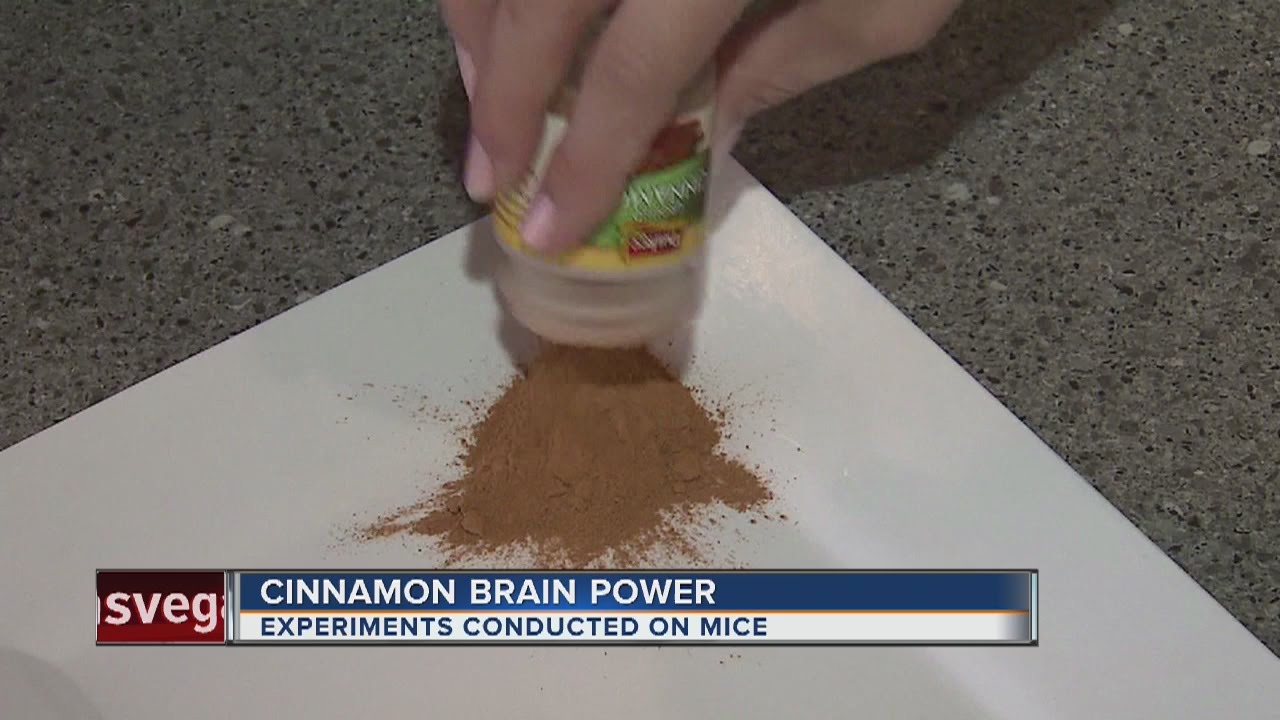 Cinnamon brain power - YouTube