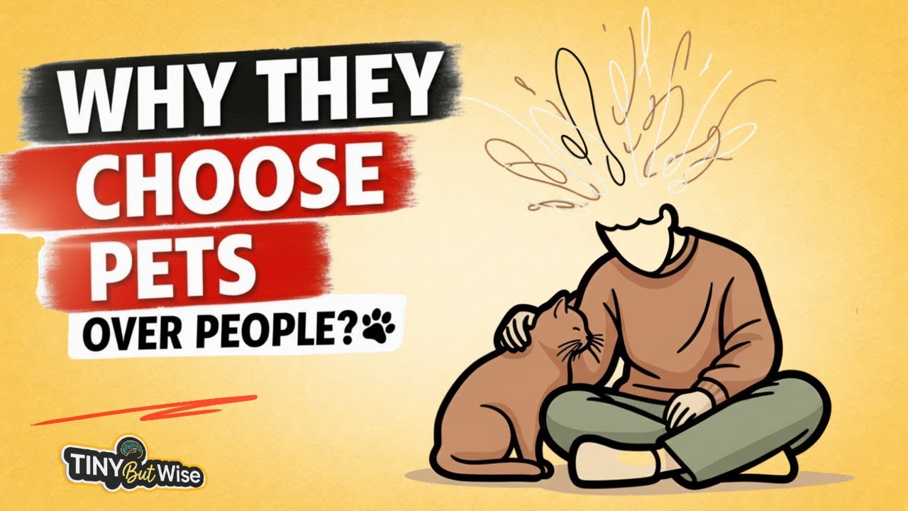 The Quiet Psychology of Choosing Animals Over People || @TinyButWise ...