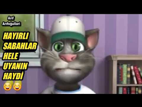 😋😋Bu gece uymamışam ah lelelele uykuya doymamışam vah le le le 😂👏👏😁