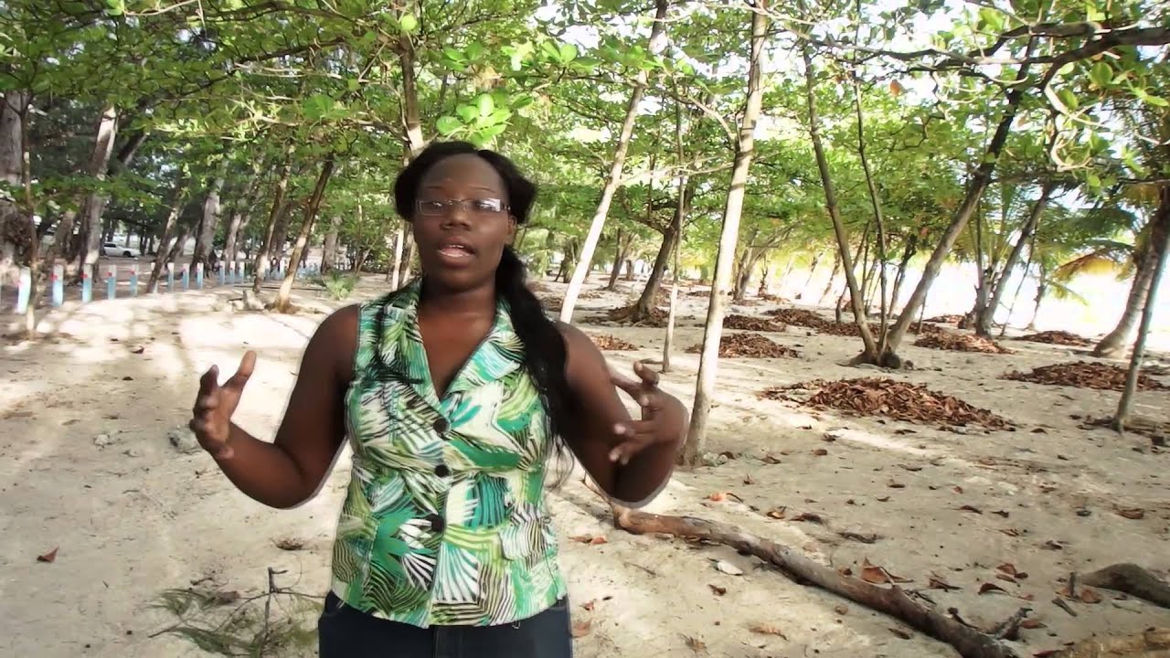 Student Spotlight: Sherry's First Steps - YouTube