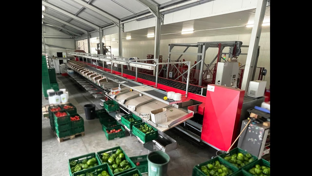 Aweta/Taks - Complete pepper unloading, sorting and palletizing ...