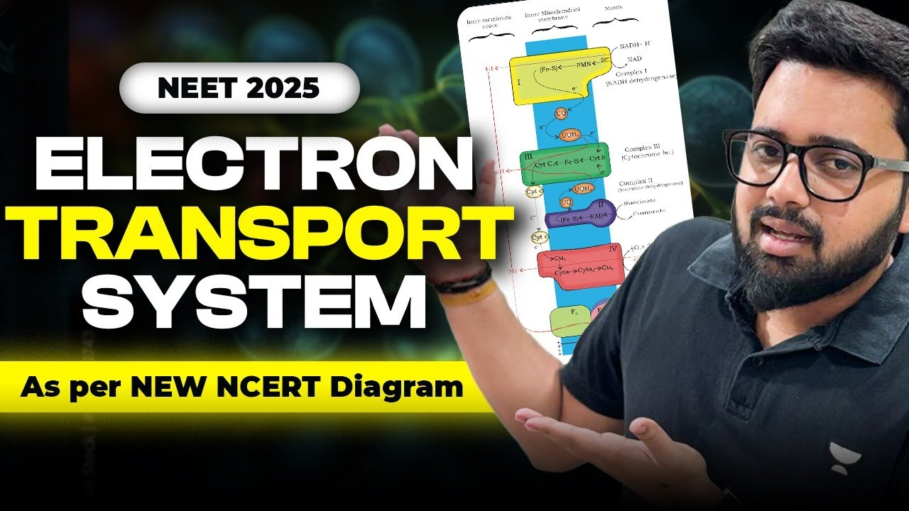 Electron Transport System NCERT I NEET 2025 I Respiration in Plants I ...