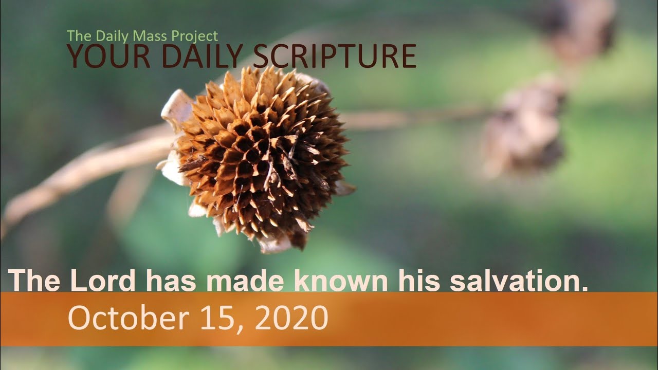 Your Daily Scripture - 2020.10.15 - YouTube