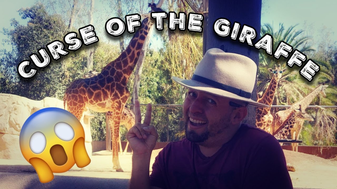 Curse of the Giraffe - YouTube