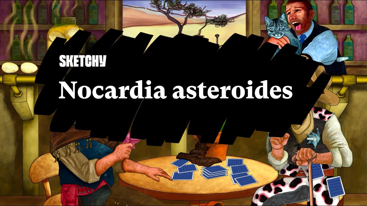 Nocardia Asteroides: Identification, Symptoms & Treatment (Part 1 ...