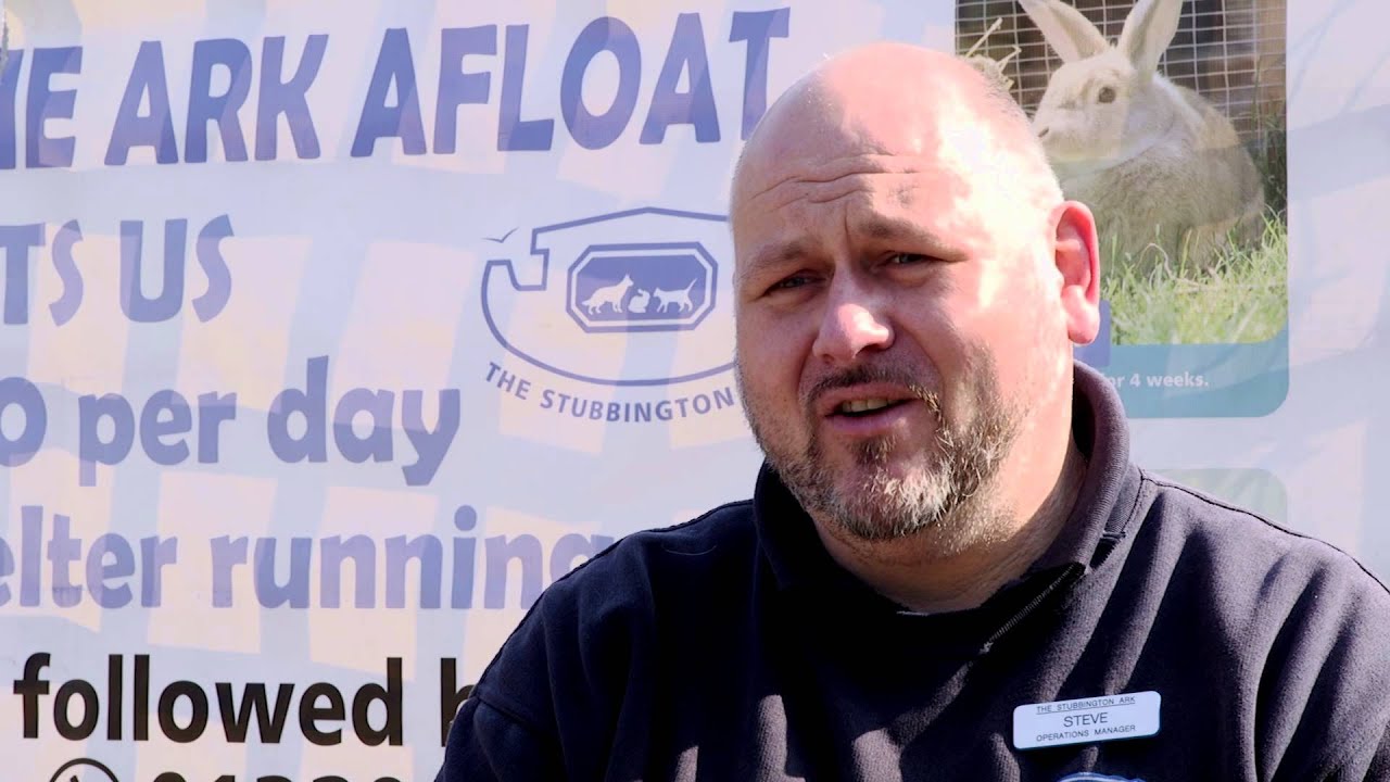 RSPCA | The Stubbington Ark - YouTube