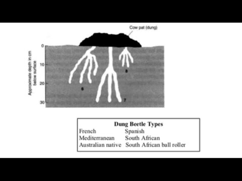 Ielts Reading labelling the diagram| How to label the diagram in IELTS ...