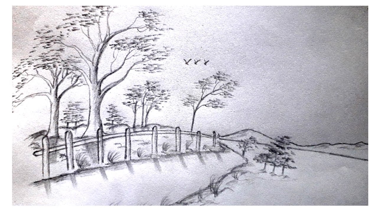 Forest side area sketch with some trees along a road / roadside area ...