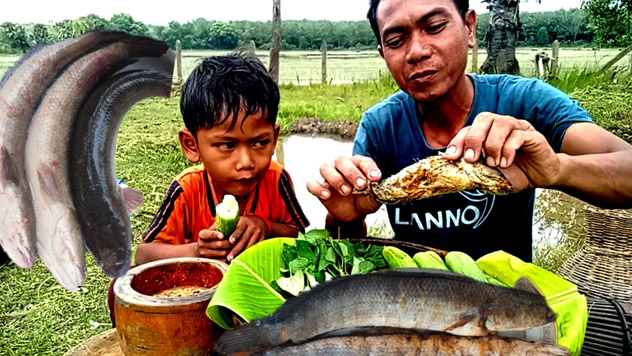 Catch Catfish in Little Water, Fried Fish for Eating with Fresh ...