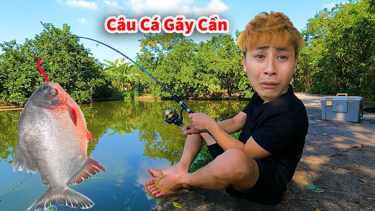 Cáo Ca - Vác Cần Câu Được Đàn Cá Rô Cực Sịn || Hậu Cáo Câu Cá - YouTube