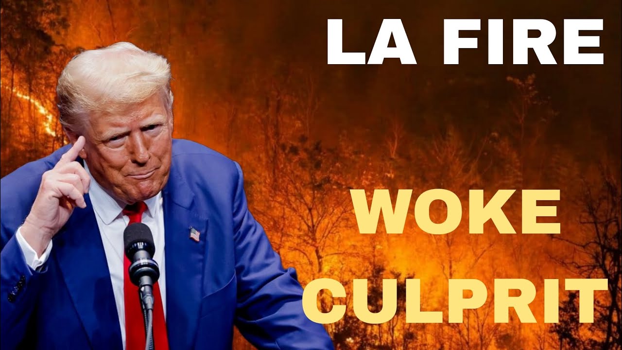 LA FIRE CULPRITS WOKE PEOPLE . DISAPPOINTED TRUMP 😢 ! - YouTube
