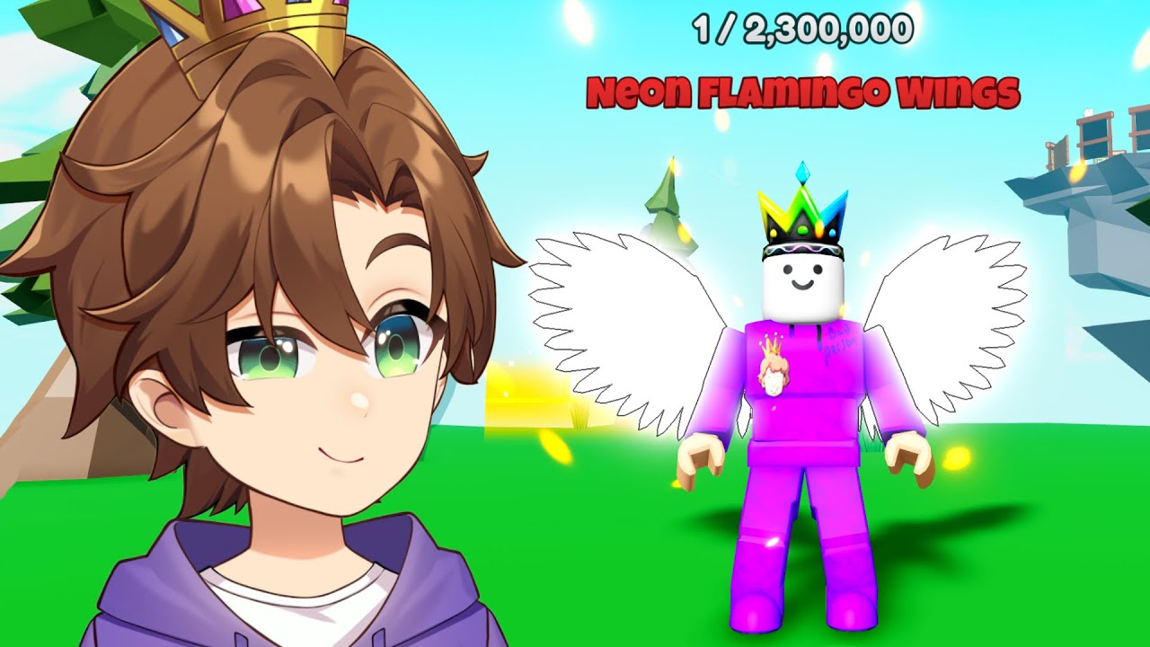 I Used GODLY Wings To FLY HIGH On Roblox RNG - YouTube