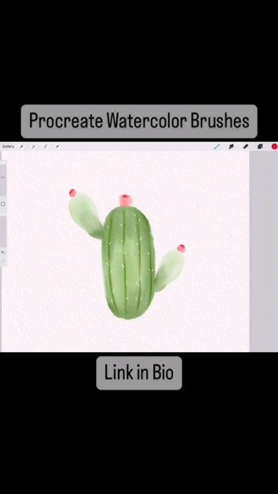 🌵How to Draw Cactus in Procreate #procreateapp #procreate - YouTube