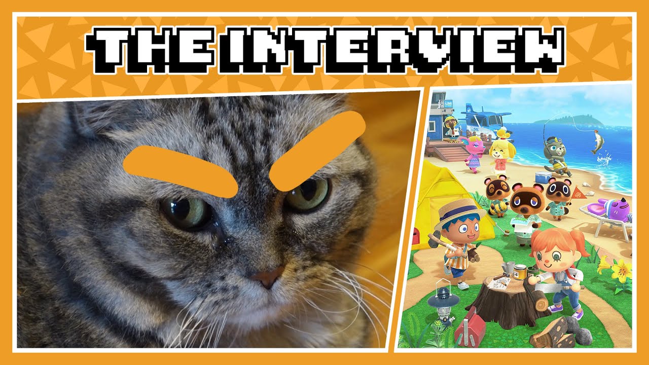 MAGGIE LE CHAT QUI A FAIM ! [ANIMAL CROSSING] - YouTube