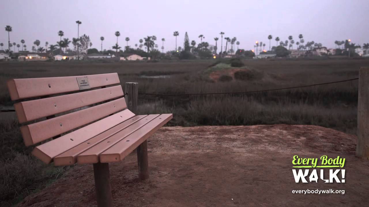 Tijuana Estuary – Walking in Nature - YouTube