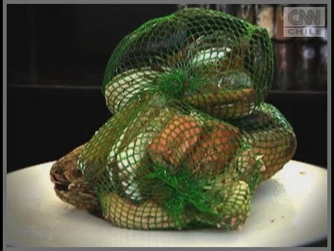 Carlo Cocina: Pulmay - YouTube