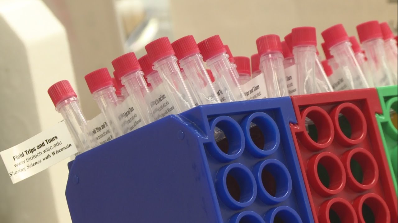 Wonders of Physics: Madison Science Museum 10-18-15 - YouTube