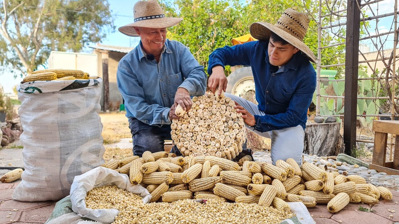 👉 “¡Así se usaba la OLOTERA! 😱 El antiguo instrumento para desgranar ...
