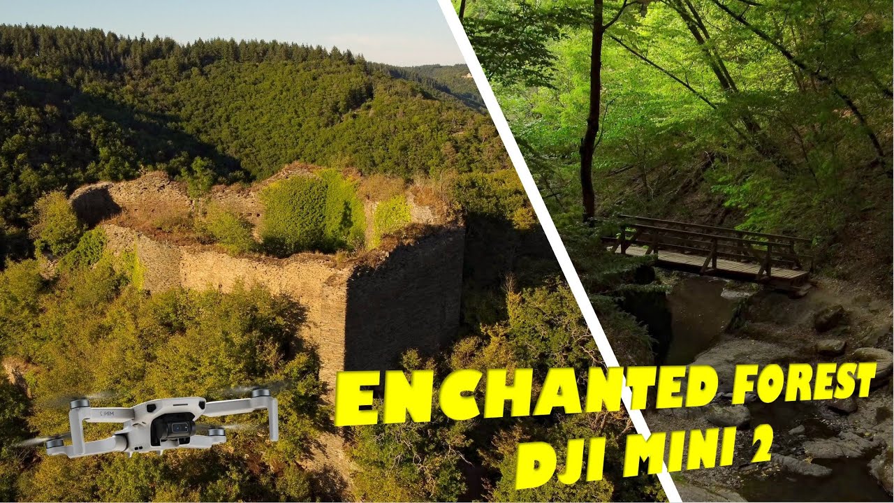 DJI Mini 2 | 🌳 Enchanted Path to a Forgotten Castle 🏰 | ☀️ Hiking in Germany 🇩🇪 | Cinematic 4K 🛩 ...