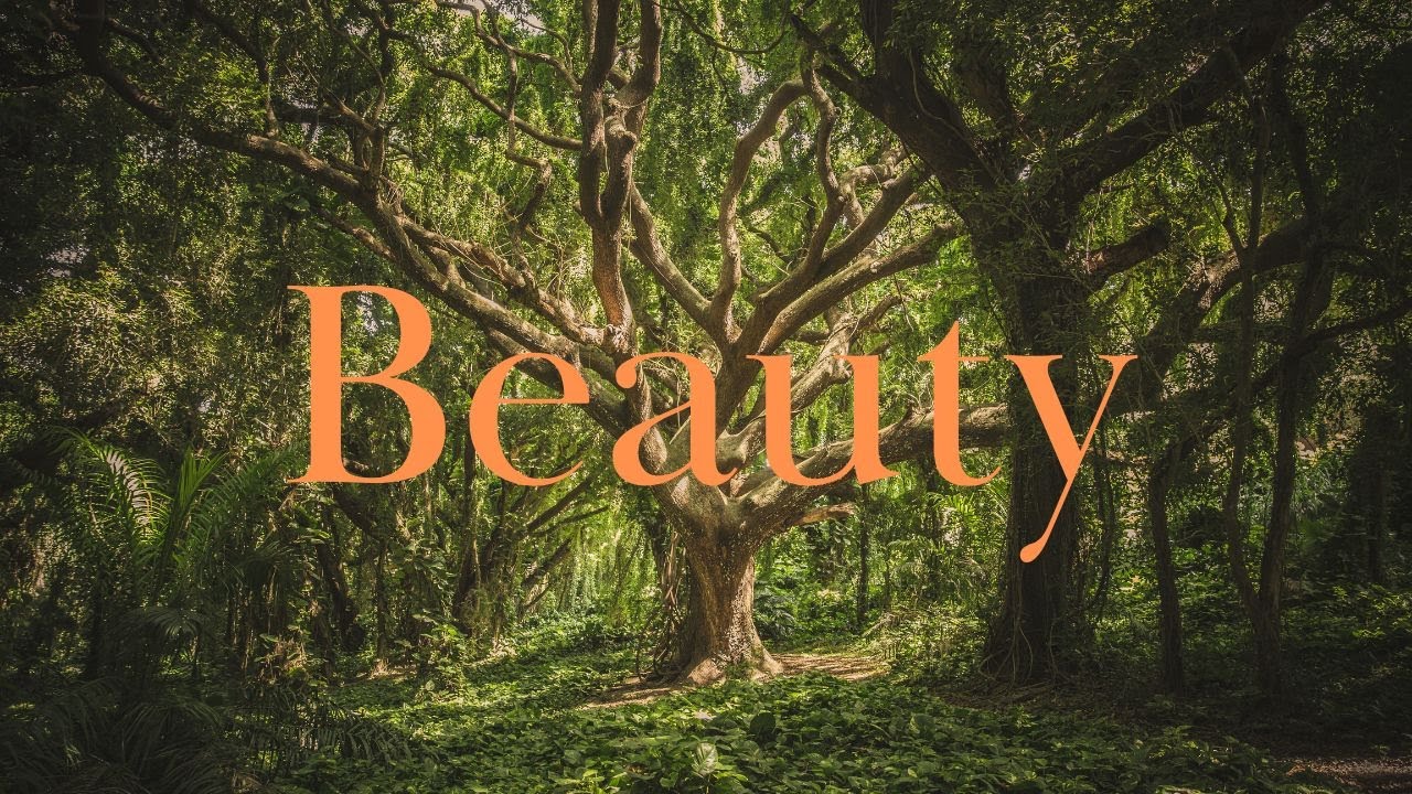 Beauty | David Funk, Bethel Music | Lyric Video - YouTube