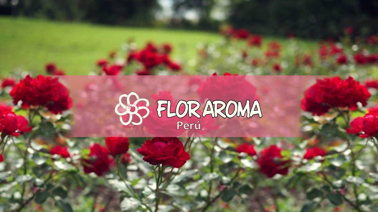 floraroma peru - YouTube