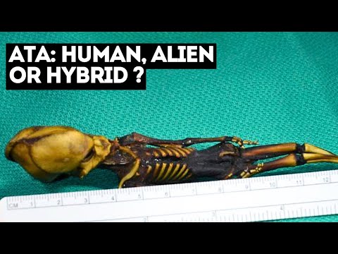 El Ata de 15 cm: ¿HUMANO, ALIENÍGENA O HÍBRIDO?