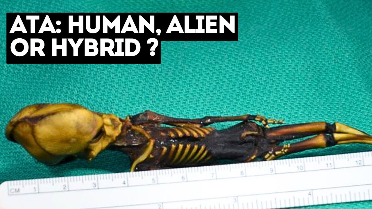 The 6 inch Ata: HUMAN, ALIEN OR HYBRID ? - YouTube