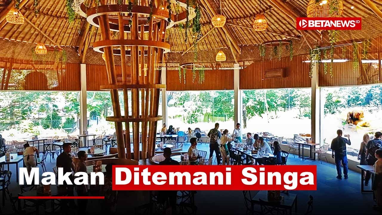 Solo Safari Jadi Destinasi Wisata Favorit Keluarga, Sensasi Makan ...