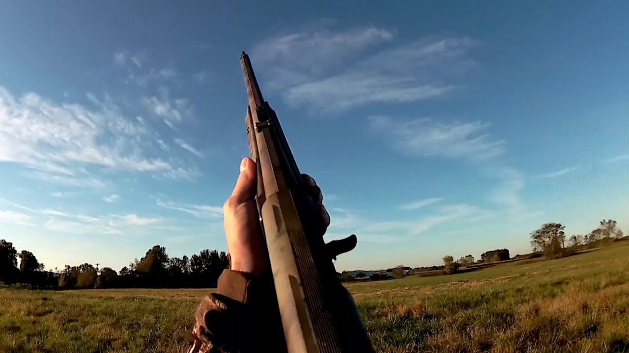 BEST DOVE HUNT YET! ] with hank! - YouTube