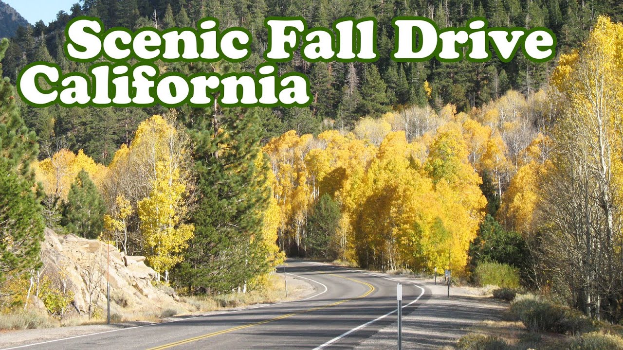 Fall Scenery Drive Autumn Colors Foliage Leaf Leaves Road Map ...