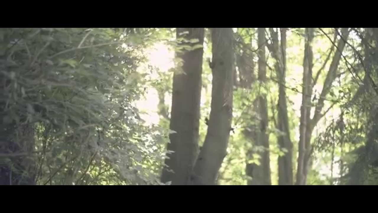 Let's go to the Beach (Cinematography) - YouTube