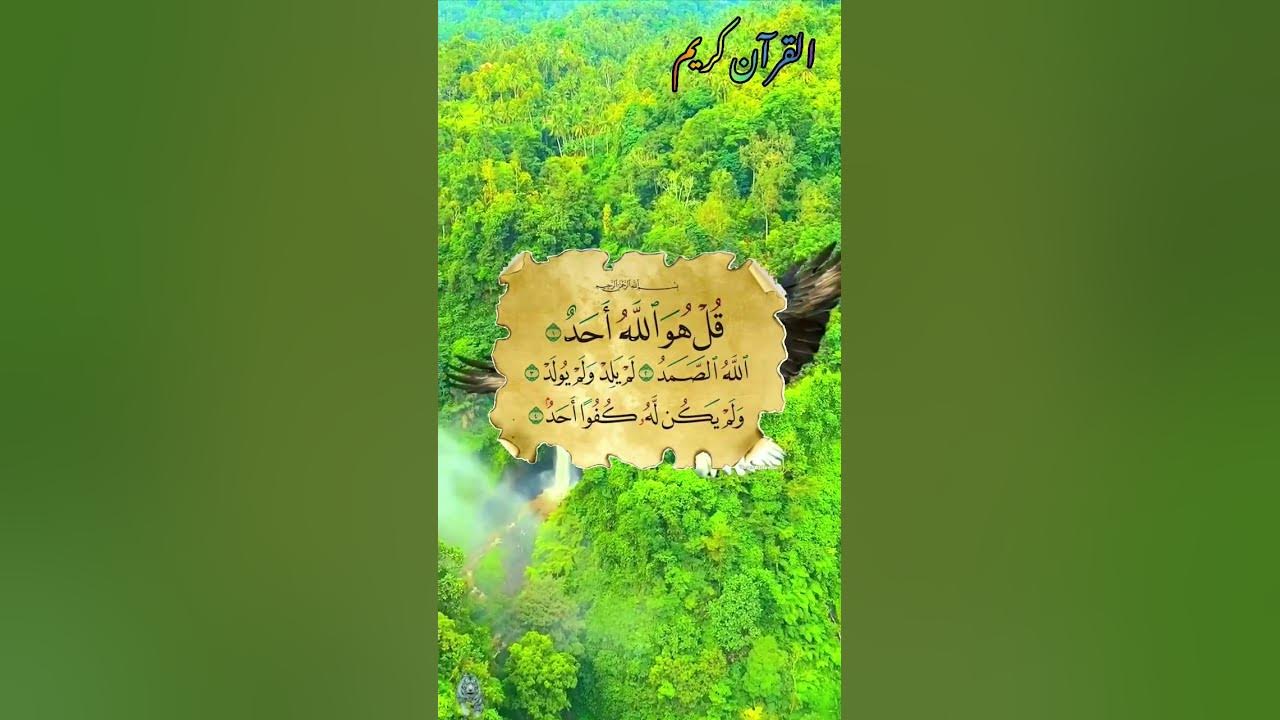 Qulhowallha Surahyaseen Yasin Qaritanveer Youtube