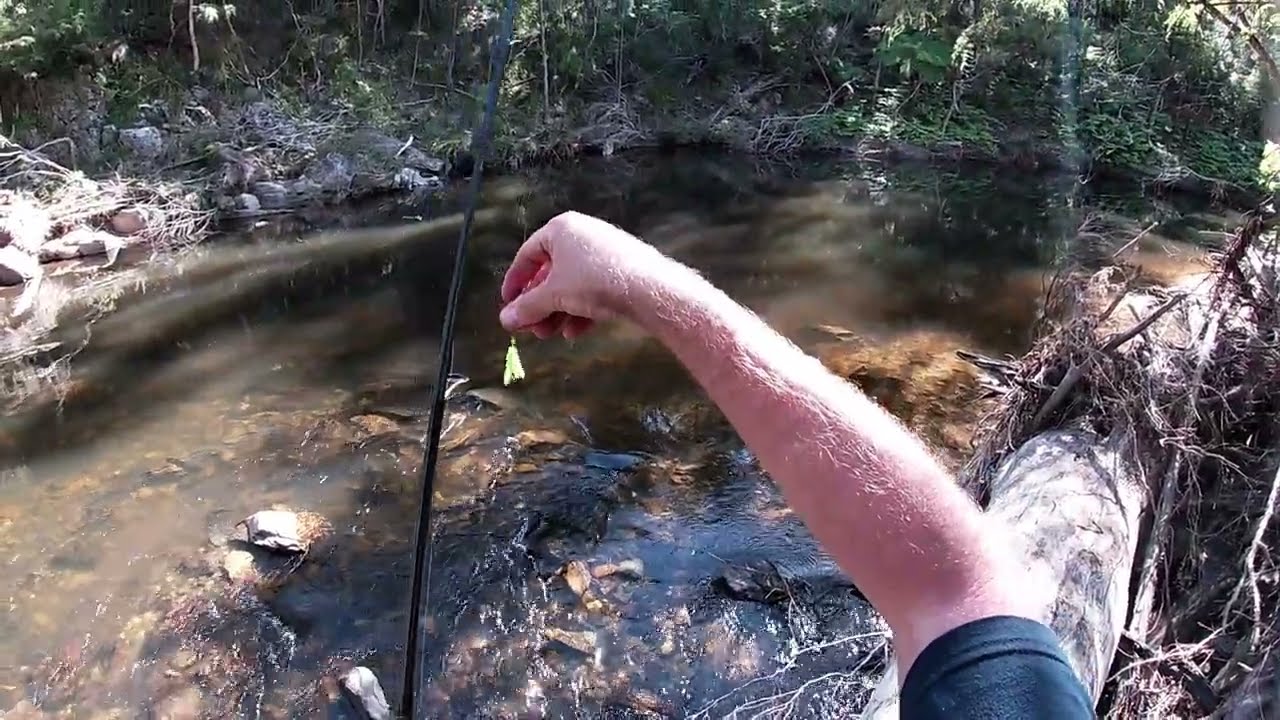 Tanjil River - Fishing & camping adventure! - YouTube
