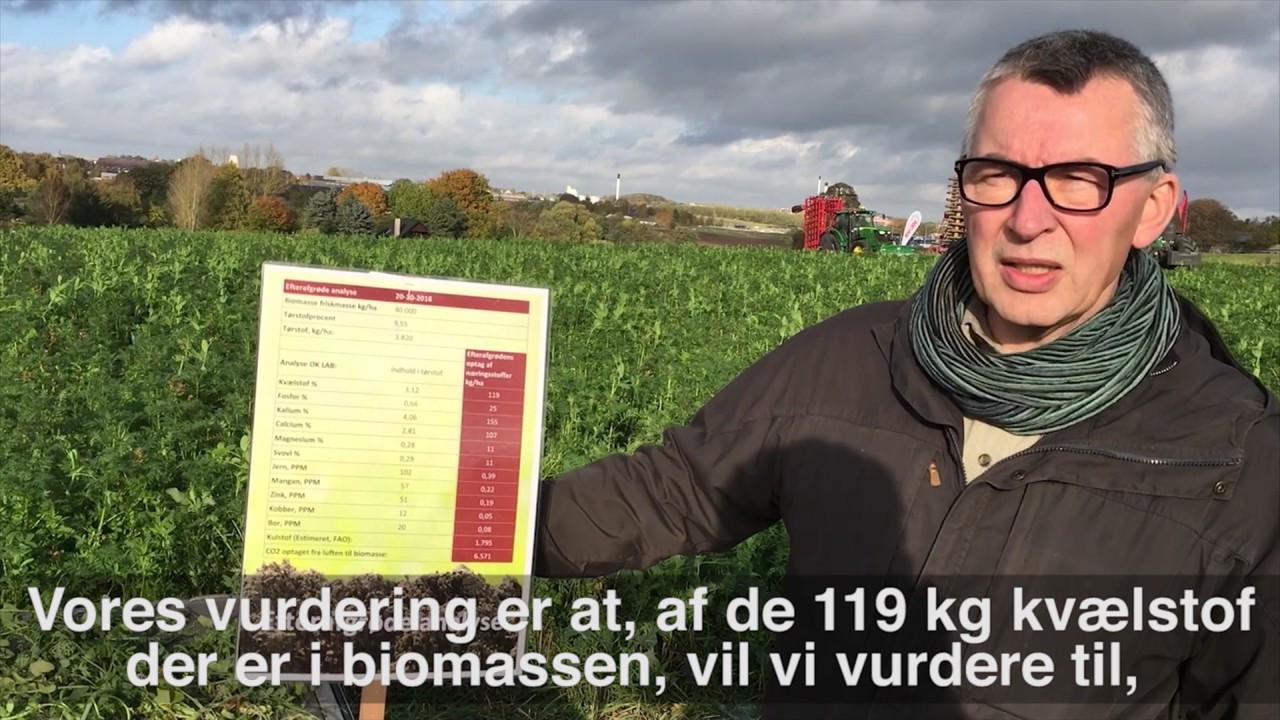 Indholdet af næringsstoffer i frivillige efterafgrøder - Jacob Winther ...