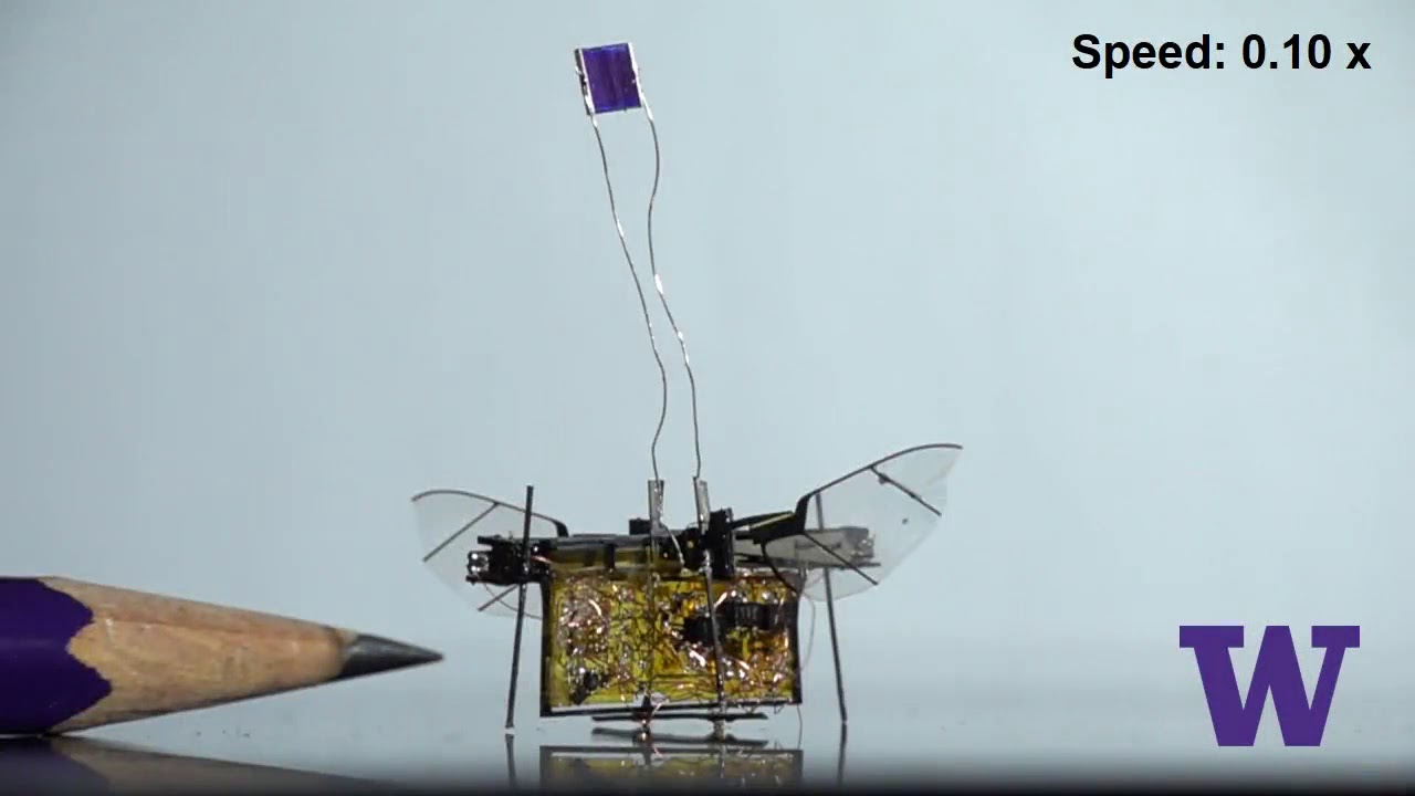 laser-powered robofly ICRA2018 - YouTube