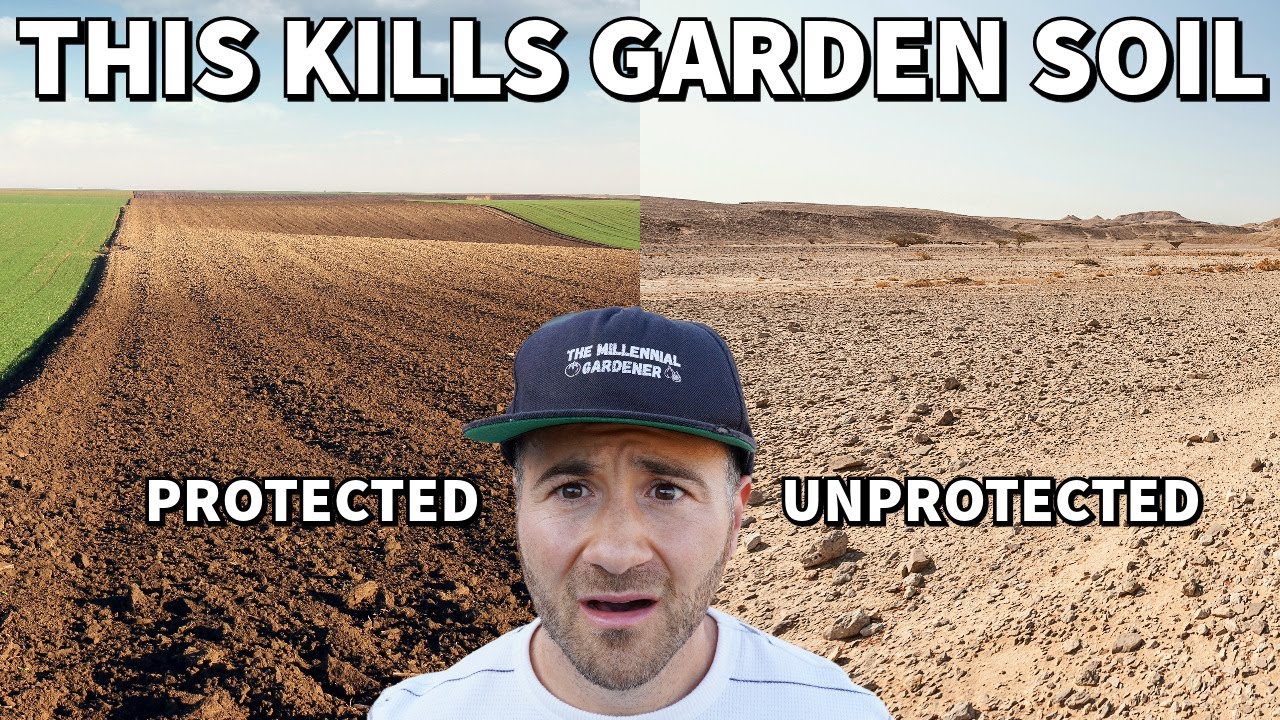 99% Of Gardeners Make This Mistake With Their Garden Soil! - YouTube