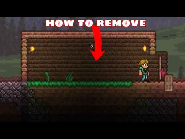 Types Of Wood Walls Terraria - Infoupdate.org